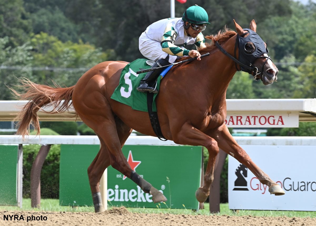 Dakota Gold Shows No Signs Of Rust In NYSSS Spectacular Bid Win ...