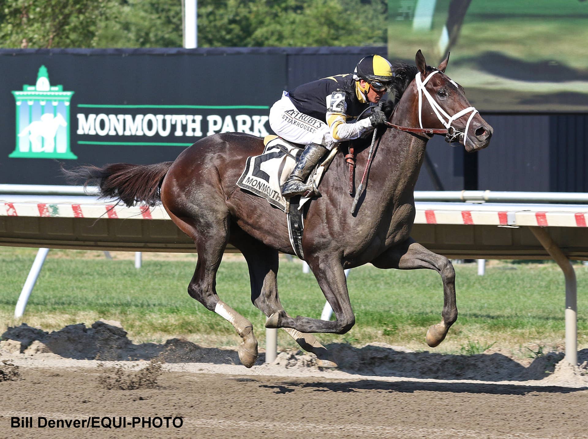 Lost Ark, Half Brother To Grade 1 Winner Nest, Perfect 2-For-2 With ...
