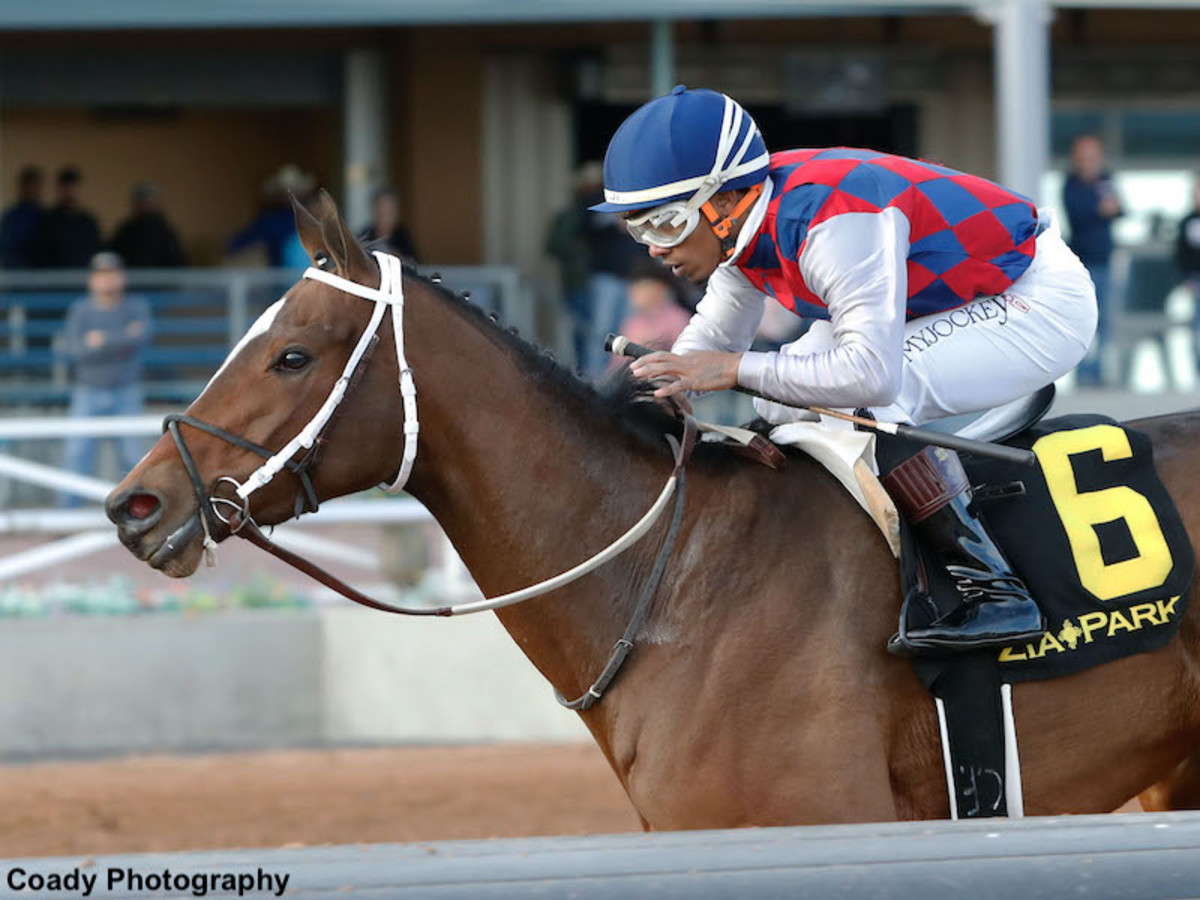 Perfect Flight Upsets Peter Miller Barnmate In Zia Park Derby - Paulick ...