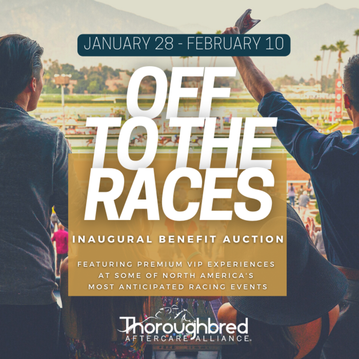 TAA Launches ‘Off To The Races’: Inaugural Online Auction Campaign Of ...