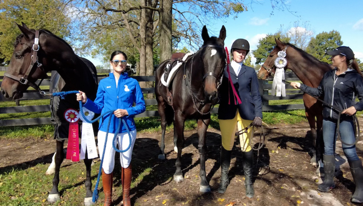 Horowitz On OTTBs, Presented By Excel Equine: Meet The Colorado OTTBs ...