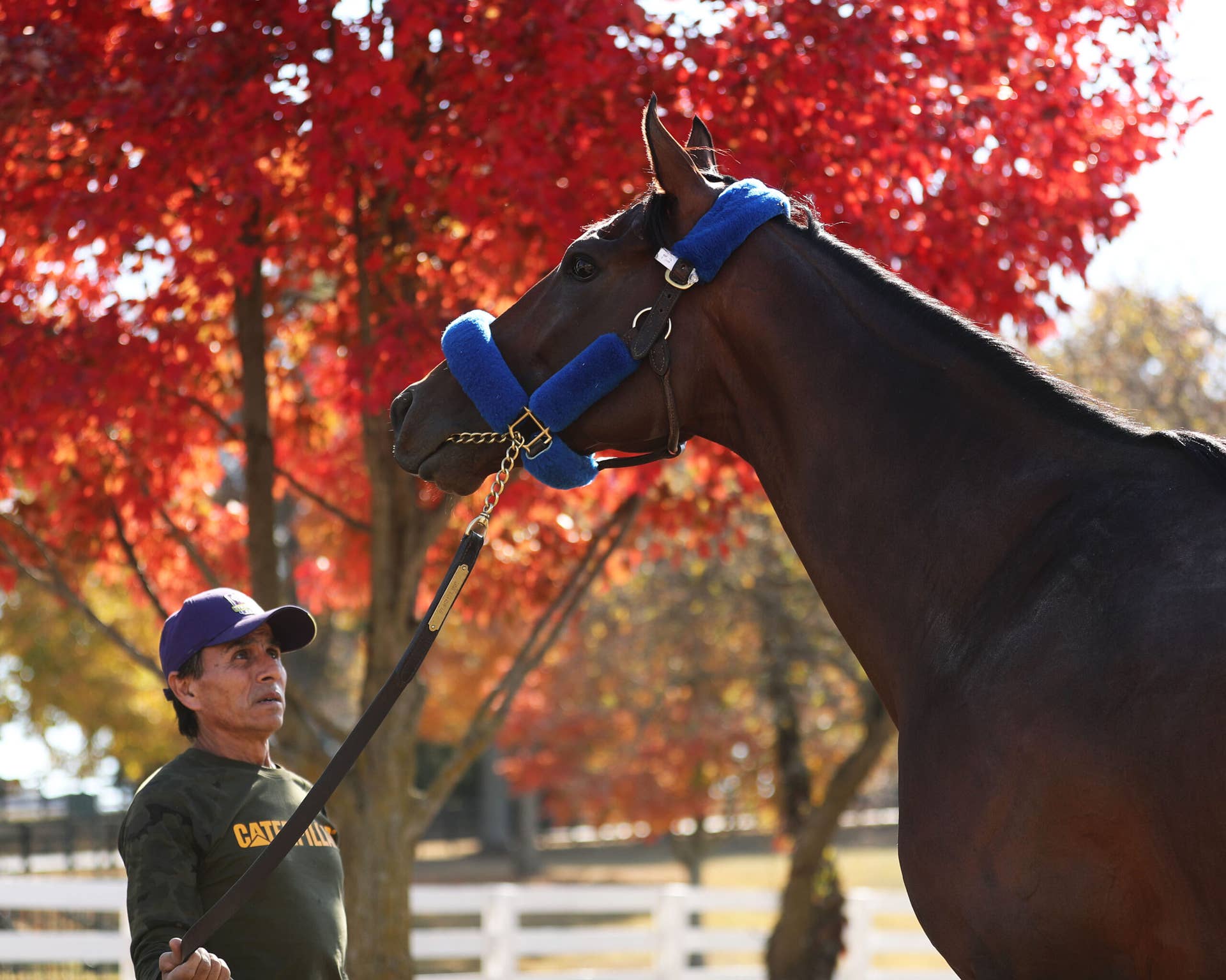 How Can You Beat Him? Classic Trainers Mull Over Challenge Of ...