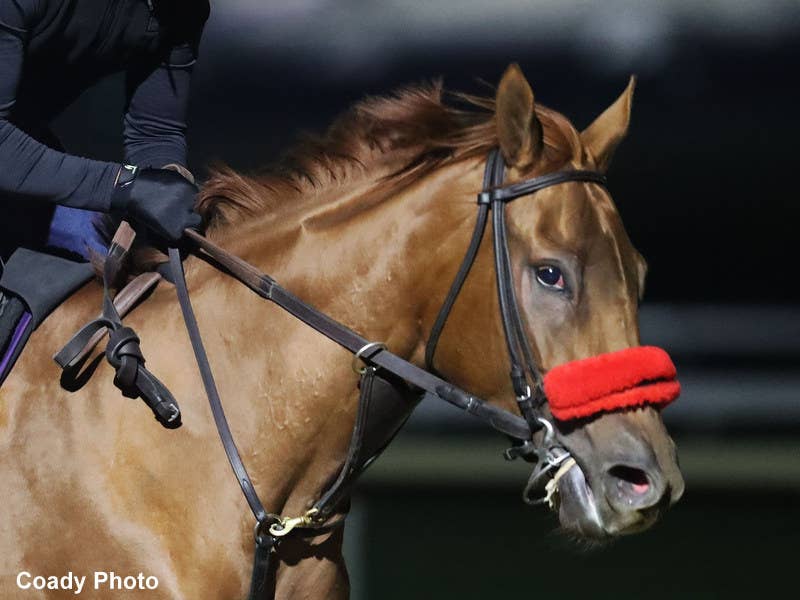 Breeders' Cup Distaff Notes: Blue Stripe Coming In 'Fresh,' Asmussen ...