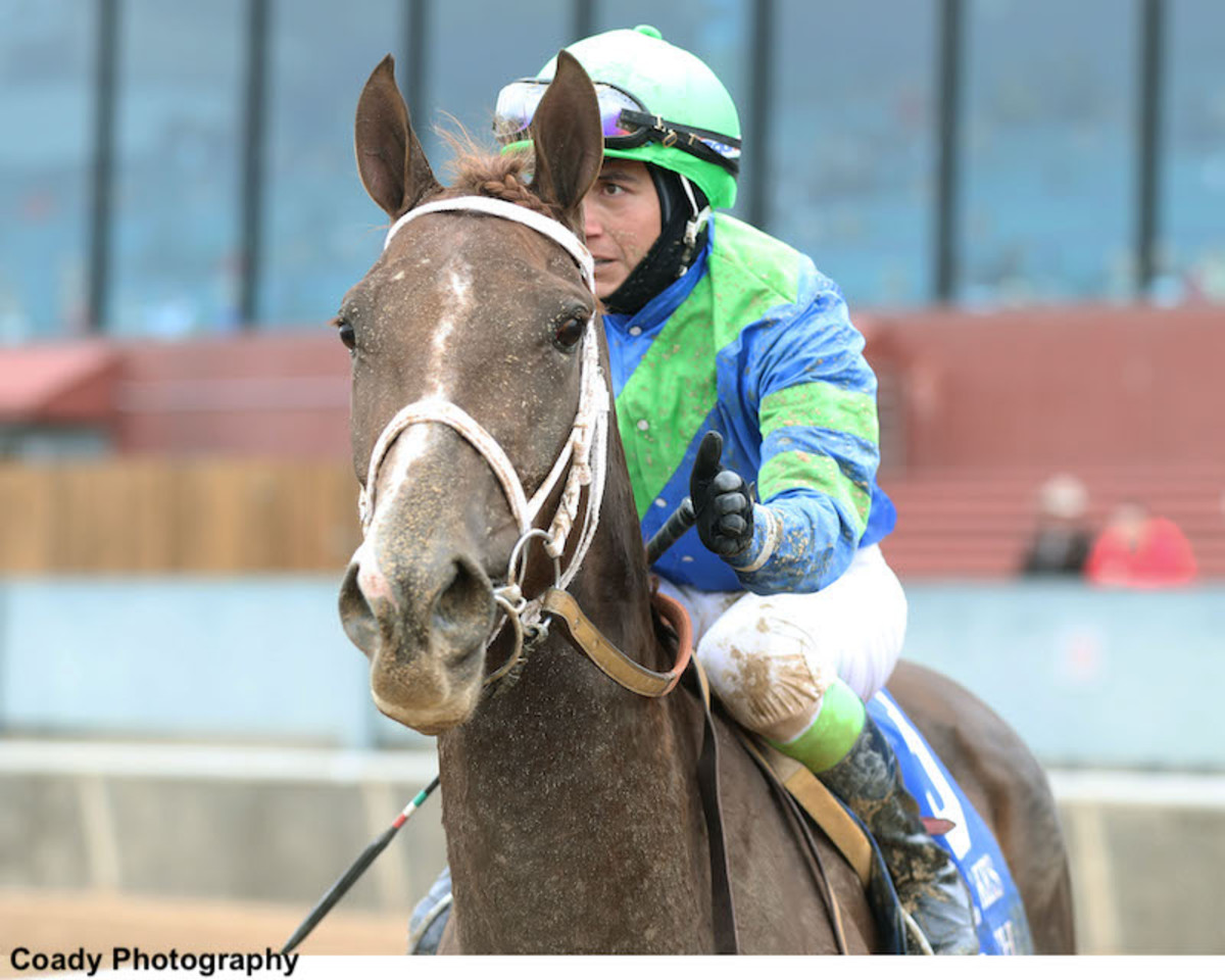 Favorite Secret Oath Wows Lukas With Honeybee Win - Paulick Report ...