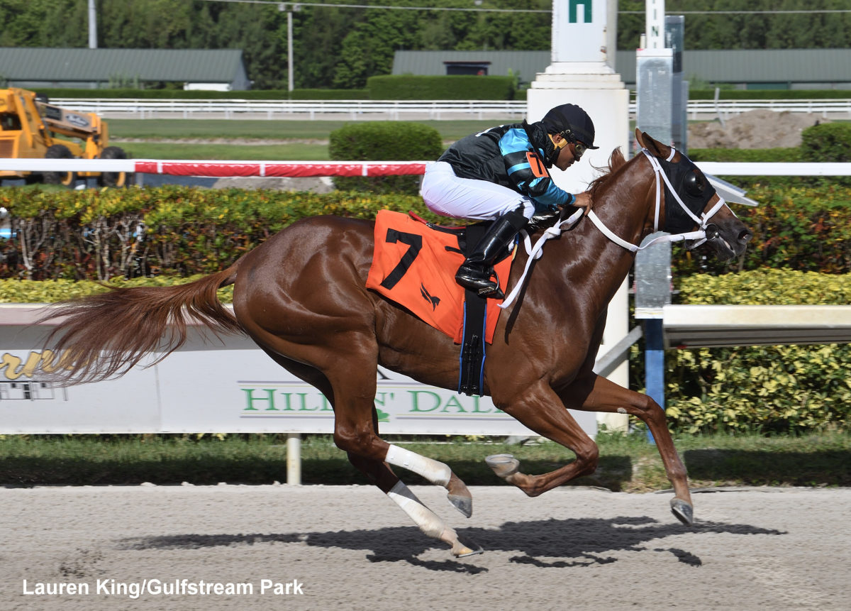 Undefeated Awesome Strong, Lynx Attempt Rare Sweeps in FTBOA Sire ...