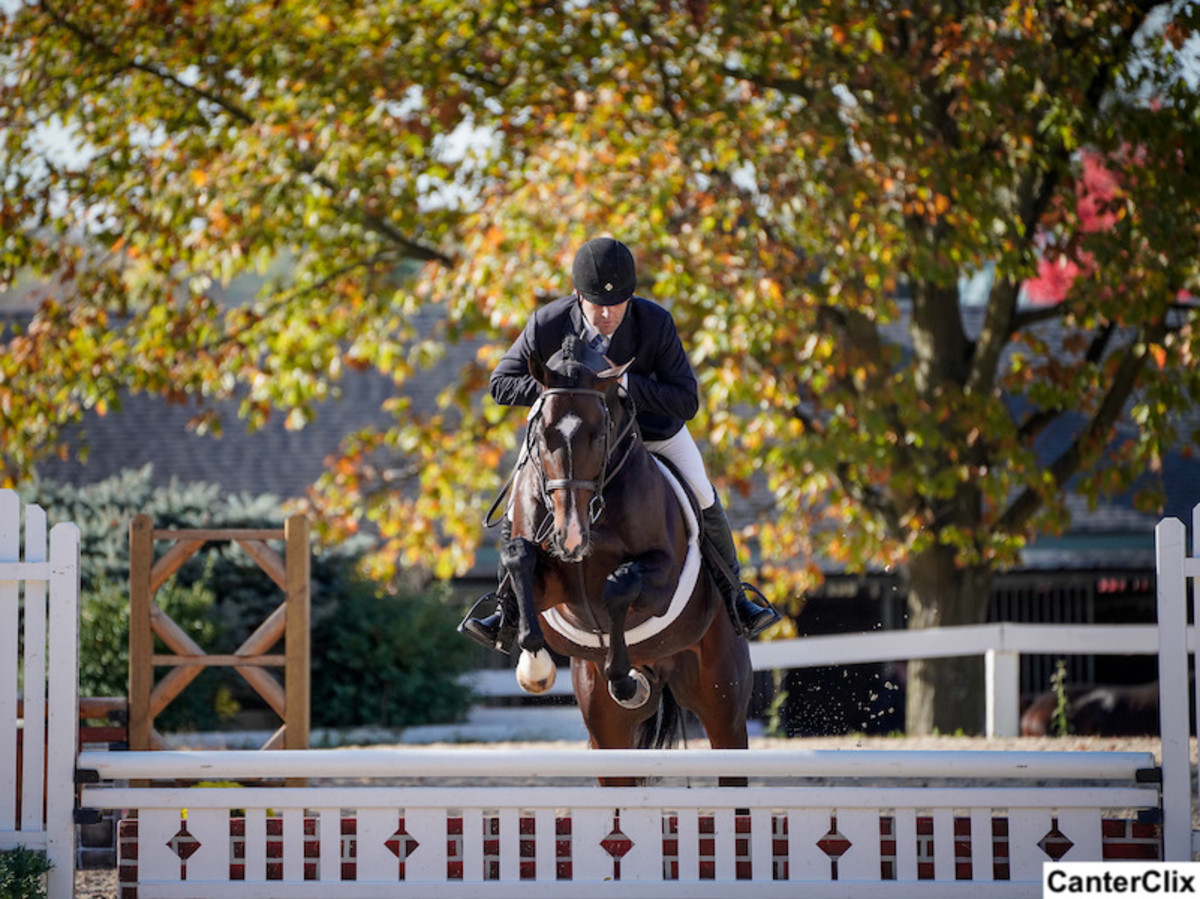 Horowitz On OTTBs Presented by Excel Equine: Prince Of New York Shows ...