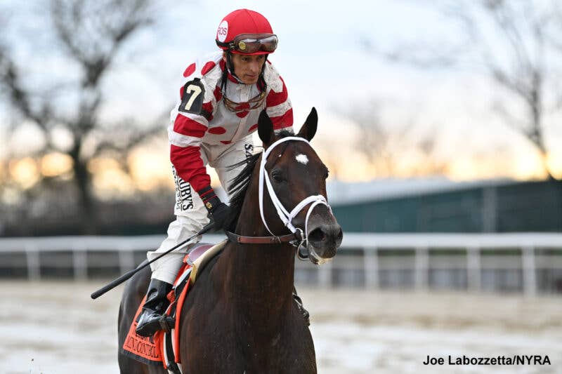 Rockridge Stud In New York Announces 2023 Fees - Paulick Report ...