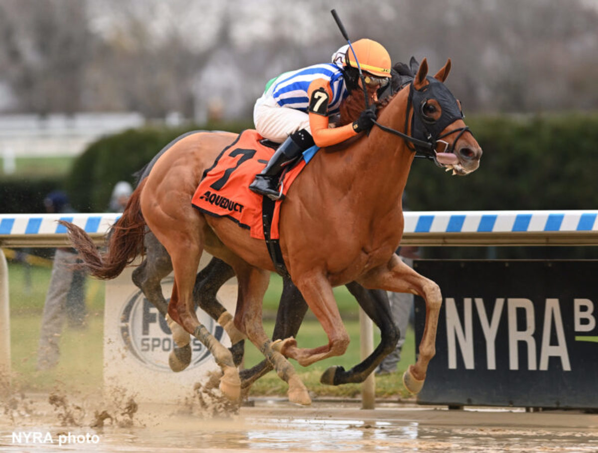 Equibase Analysis: Prairie Hawk Could Swoop Top Honors in Sam F. Davis ...