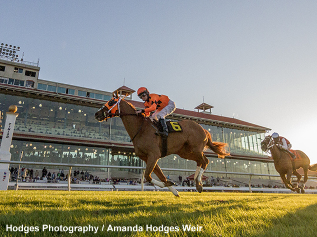 Spooky Channel Headlines Sam Houston's Connally Turf Cup After 'Huge ...
