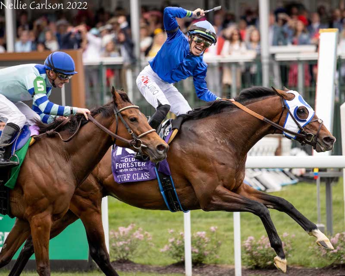 Grade 1 Winner Santin To Enter Stud In Argentina - Paulick Report ...