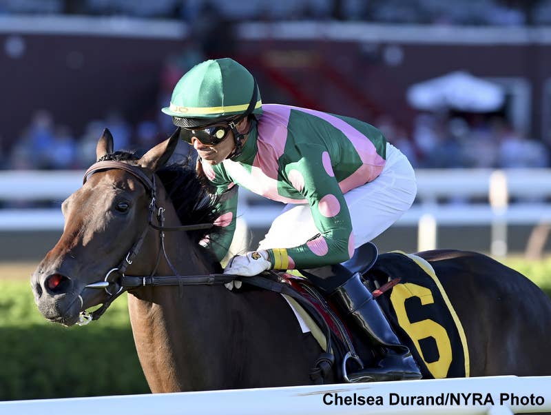 Be Your Best Primed For Big Effort In Saturday's Sands Point - Paulick ...