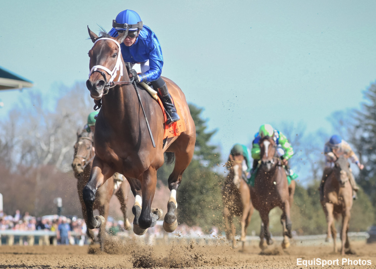 Matareya Headlines Sophomore Filly Sprinters In Eight Belles - Paulick ...