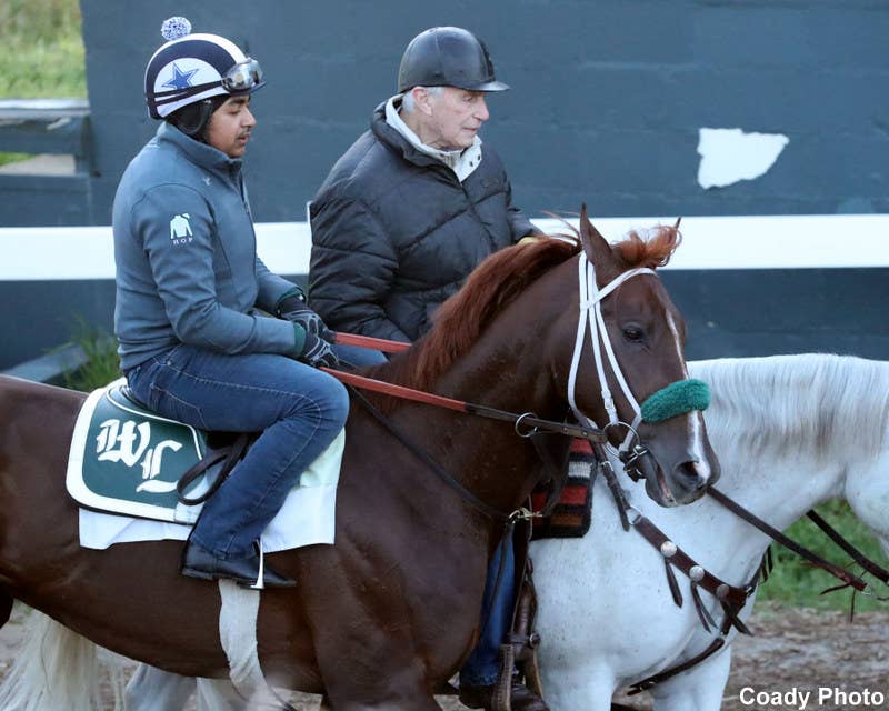 'Now Is The Time To Try It': Lukas Ready To Test Secret Oath Against ...