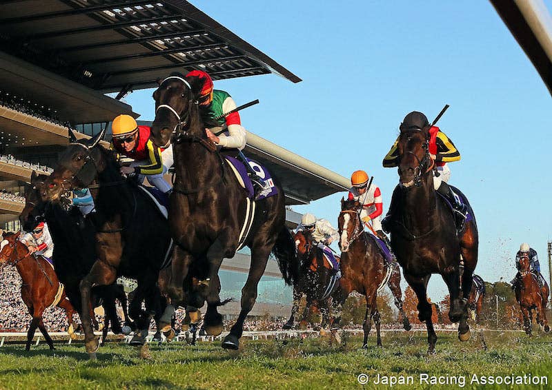 Moore Deftly Guides Vela Azul To Japan Cup Triumph - Paulick Report ...