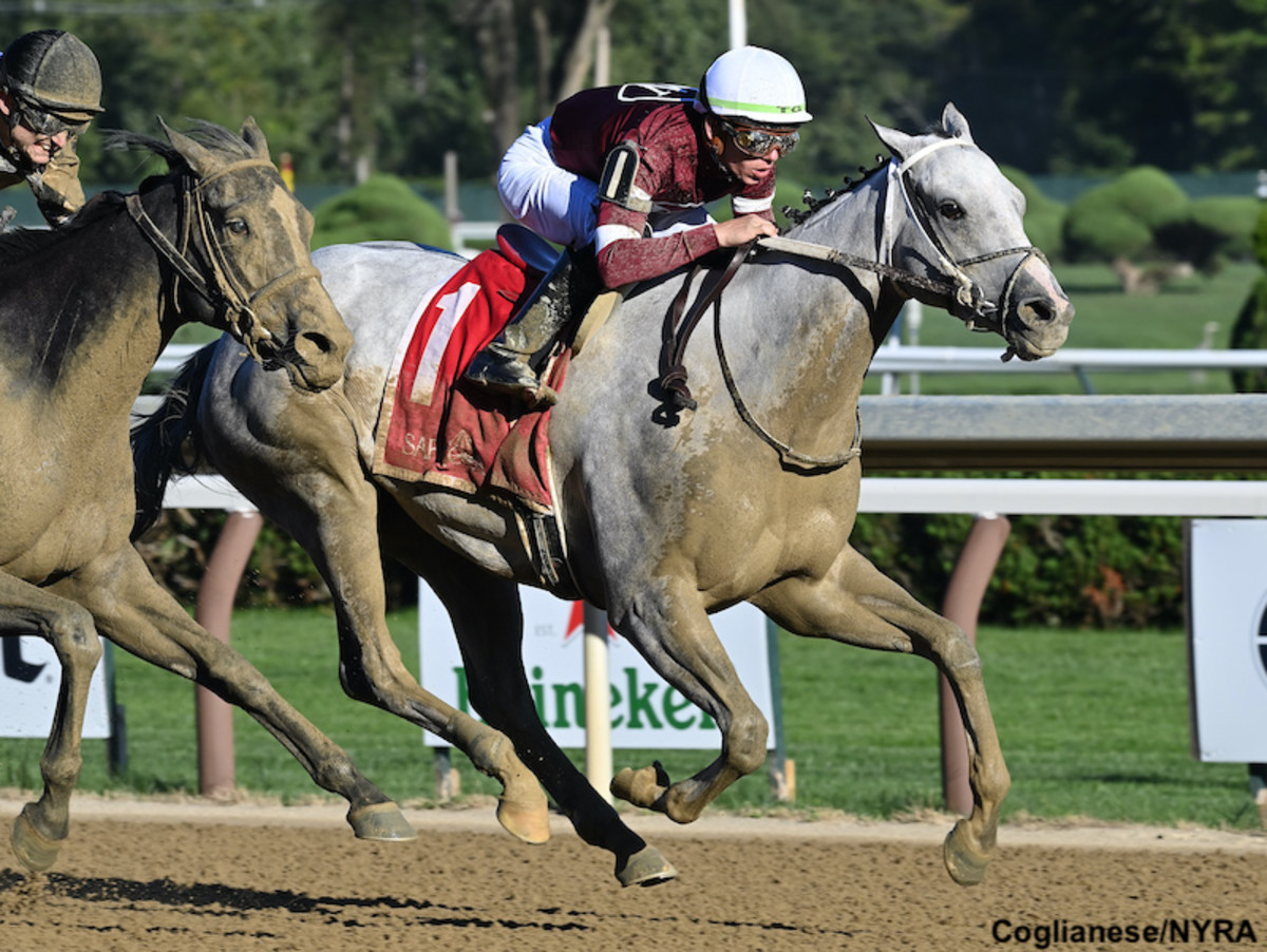 Weekend Lineup Presented By Del Mar Ship & Win: Maryland Million Day ...