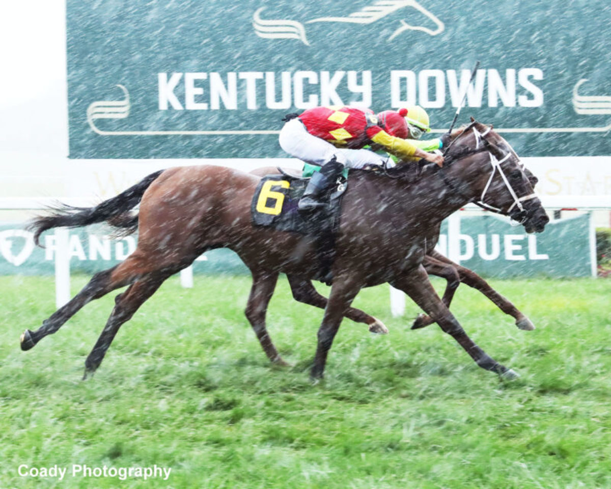 Oaks Prep: Chop Chop 'Ready To Run A Big Race' In Silverbulletday ...