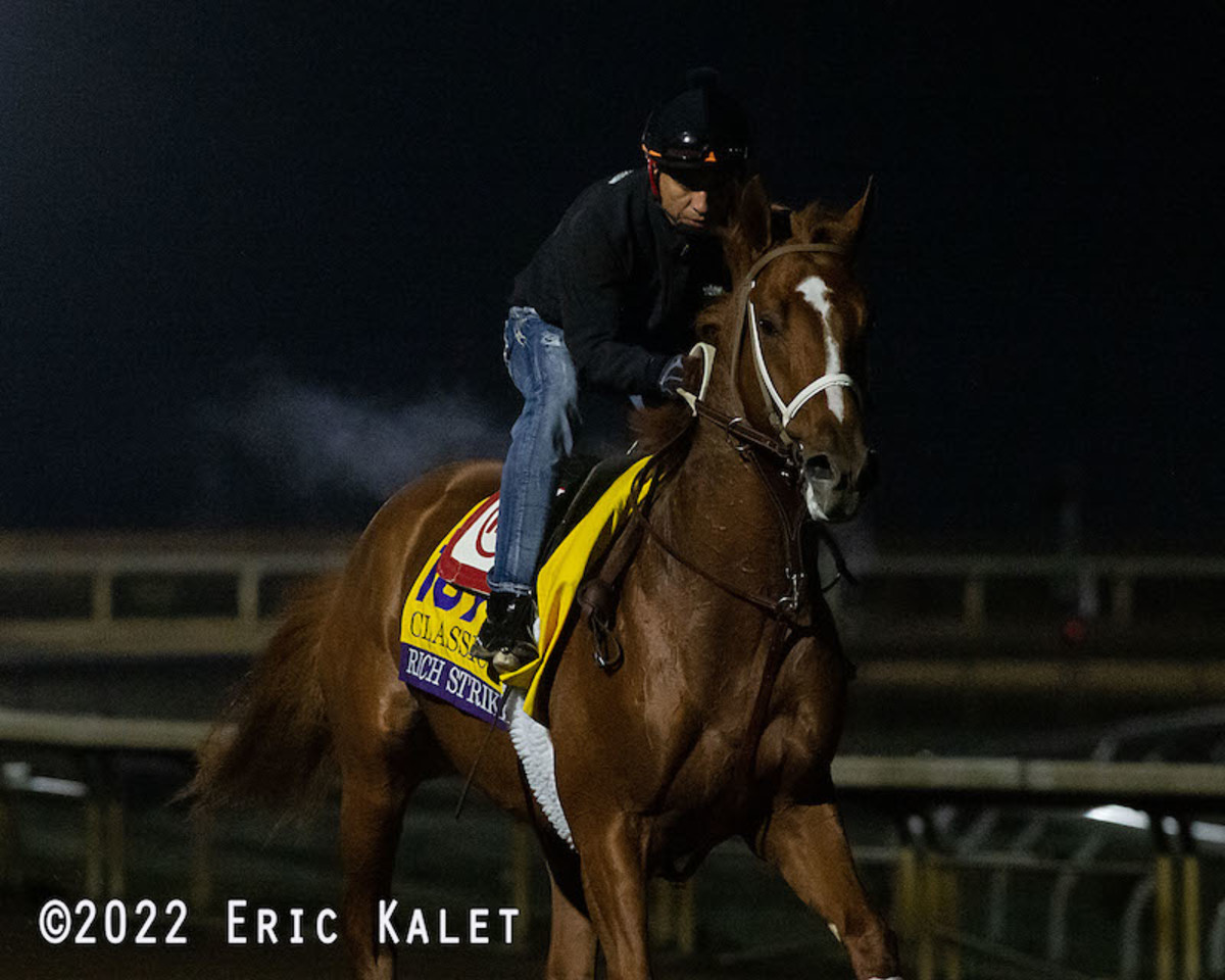 Kentucky Derby Winner Rich Strike Retired, Offered For Sale At ...