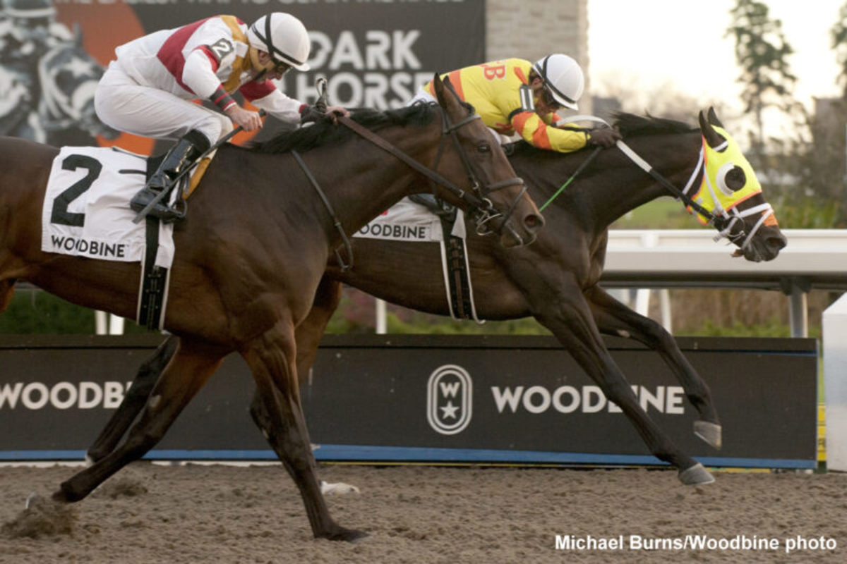 'We Knew He Was Going To Run A Good Race': Velocitor Digs In To Pull 21 ...