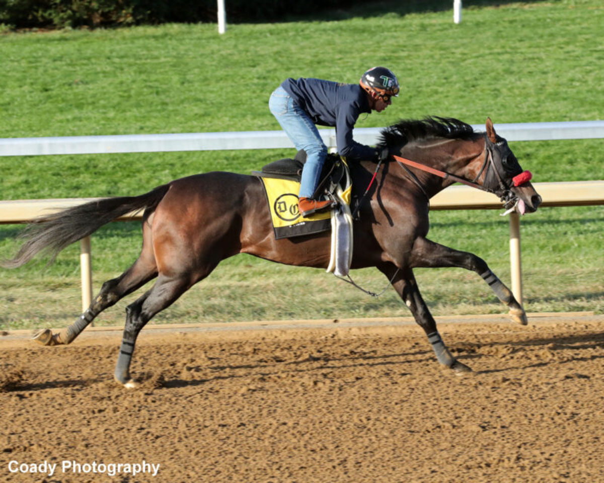 'I'm Very Happy Right Now': Gaffalione Radiates Confidence After Hot ...