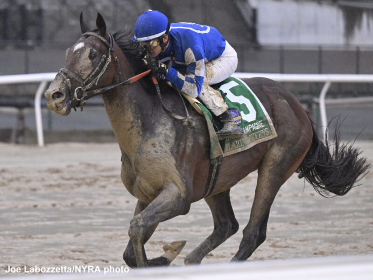 'This Horse Moved Forward': Champagne Victor Blazing Sevens Sets Sights ...