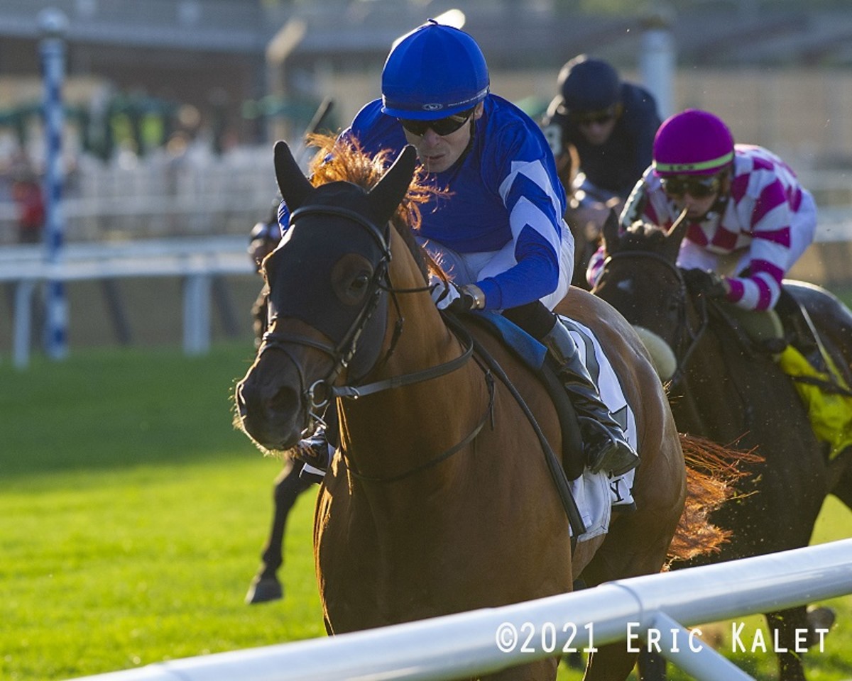 BC Turf Winner Yibir 'Filled Out And Strengthened', Ready For Man O ...