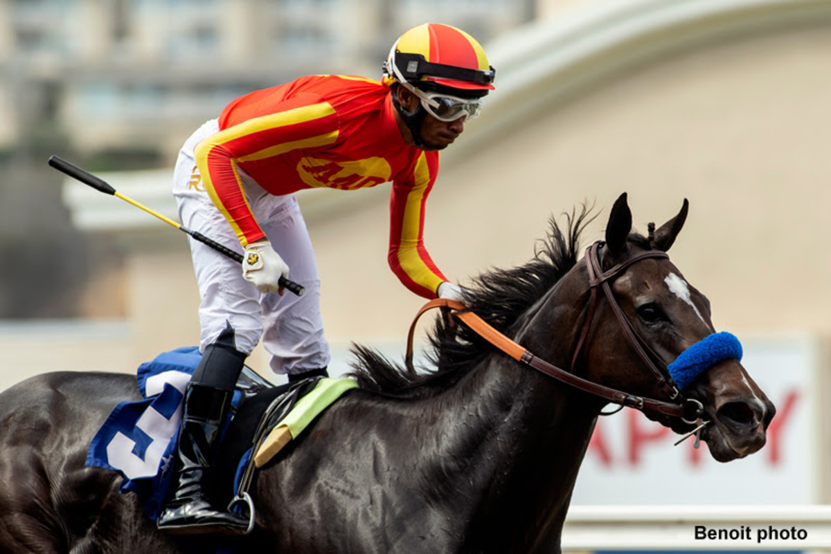 Midnight Memories Digs Down For Gate-To-Wire Torrey Pines Triumph ...