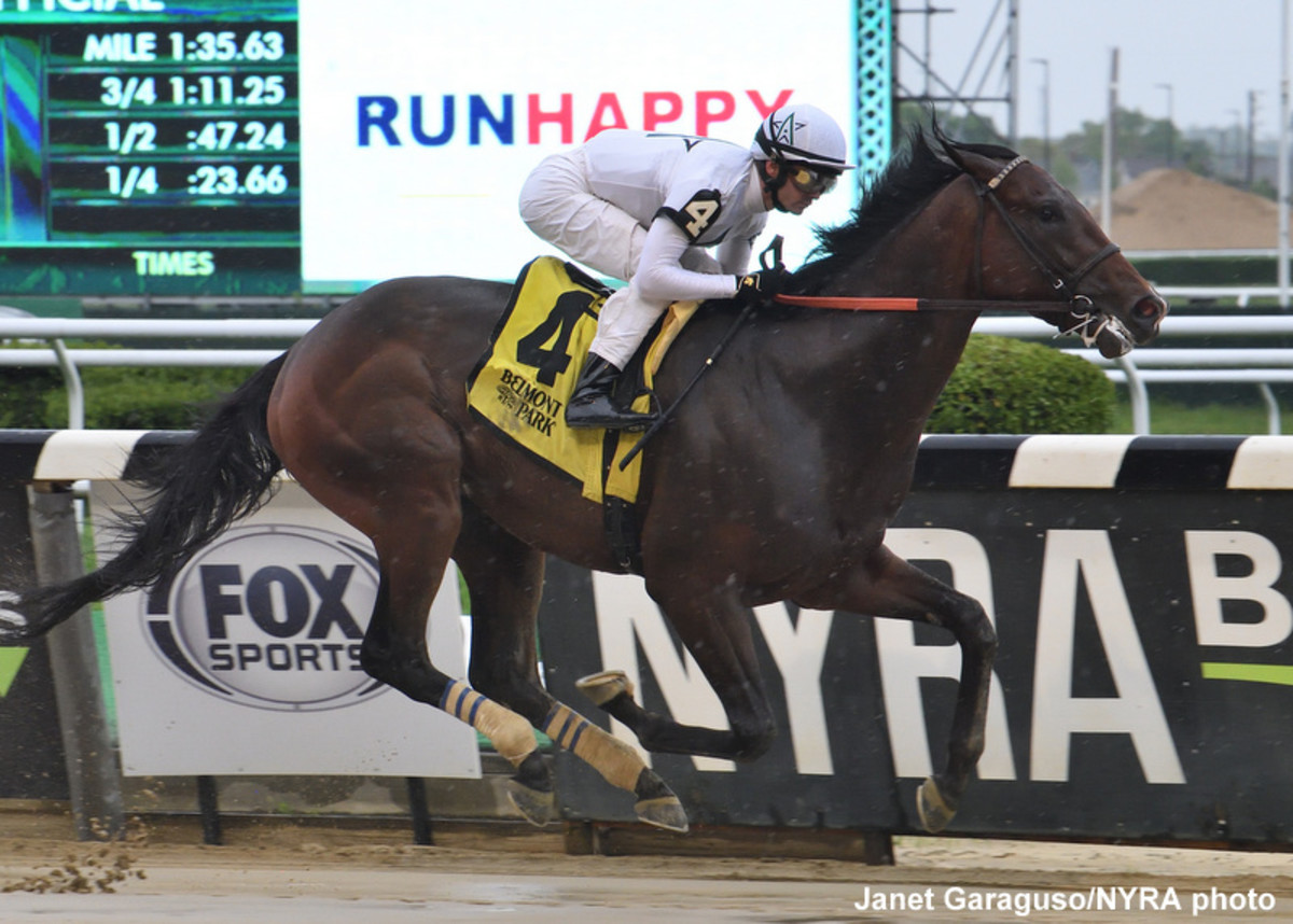 We The People To Enter Stud In Peru For 2024 - Paulick Report | Latest ...