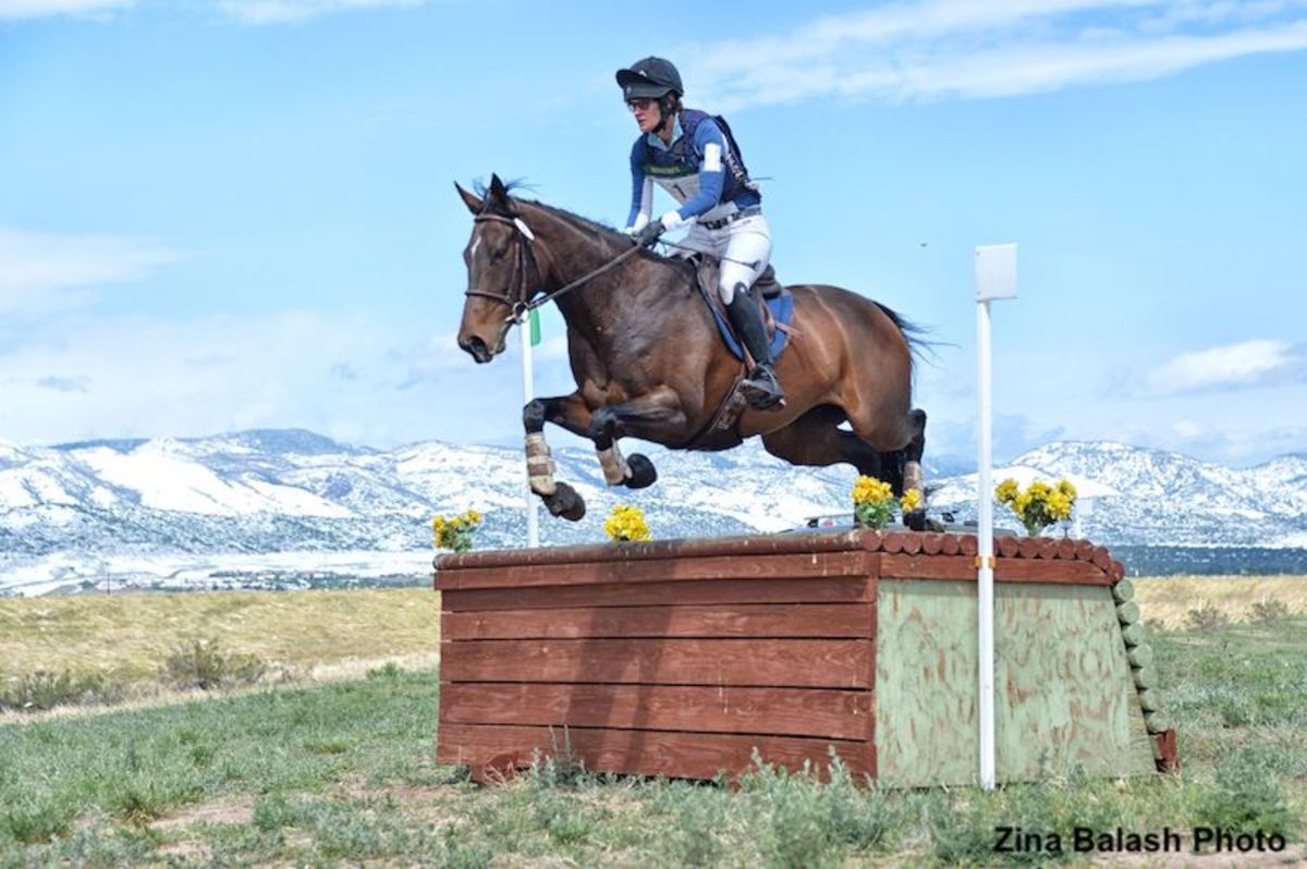 Horowitz On OTTBs, Presented By Excel Equine: For Many Ex-Racehorses, The Makeover Is Just The ...