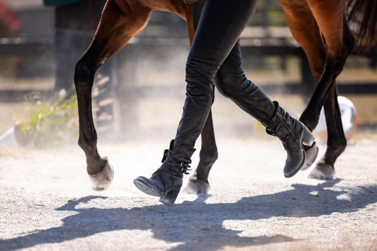 RRP’s First Footing Silent Auction Features Racing Star Shoes, Boots ...