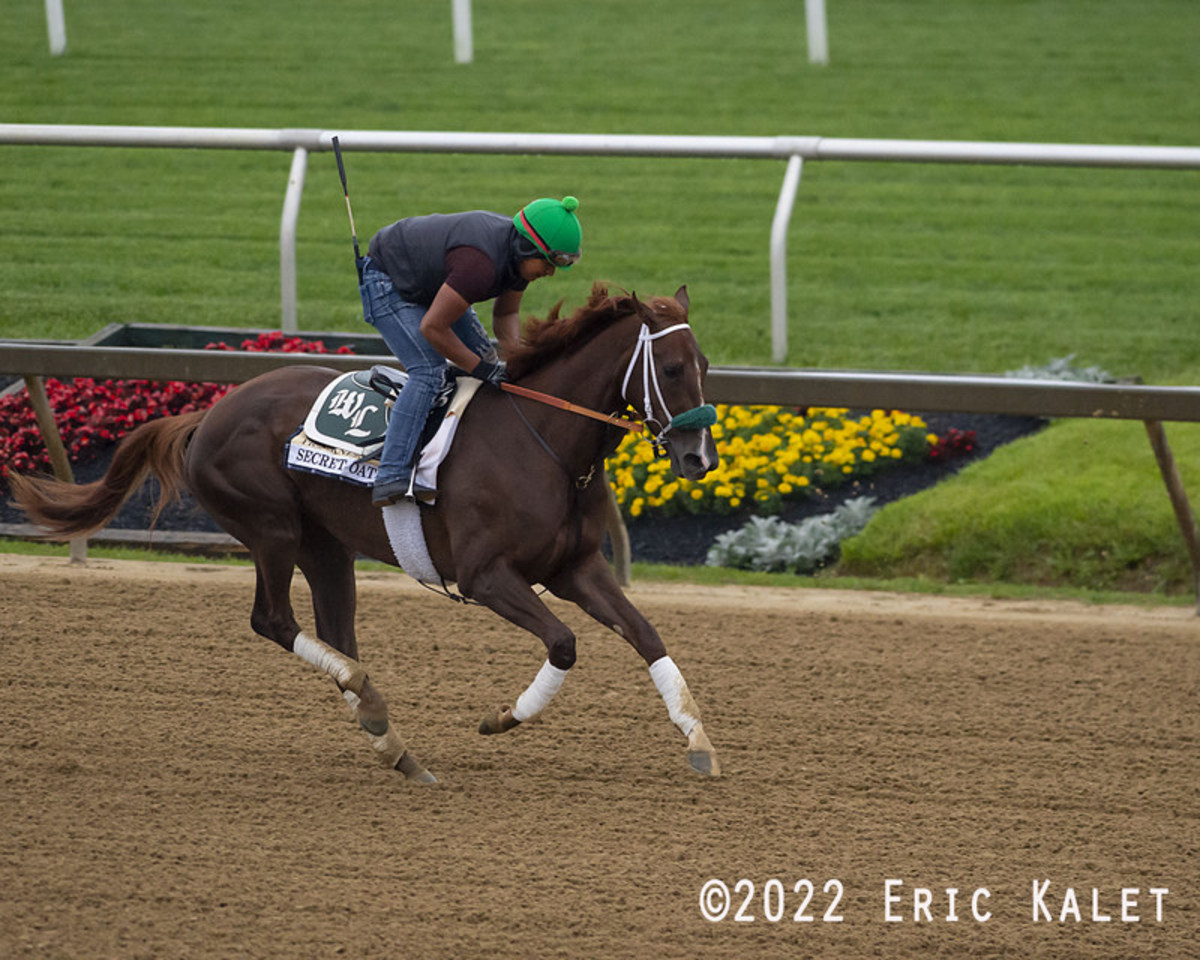 D. Wayne Lukas Will Seek First Cotillion Victory With Secret Oath ...