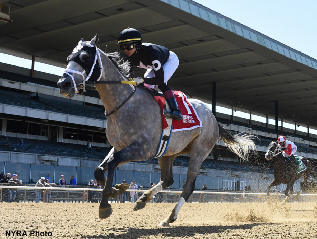 Ny Traffic Retains Perfect Belmont Park Record In Friday's Affirmed ...