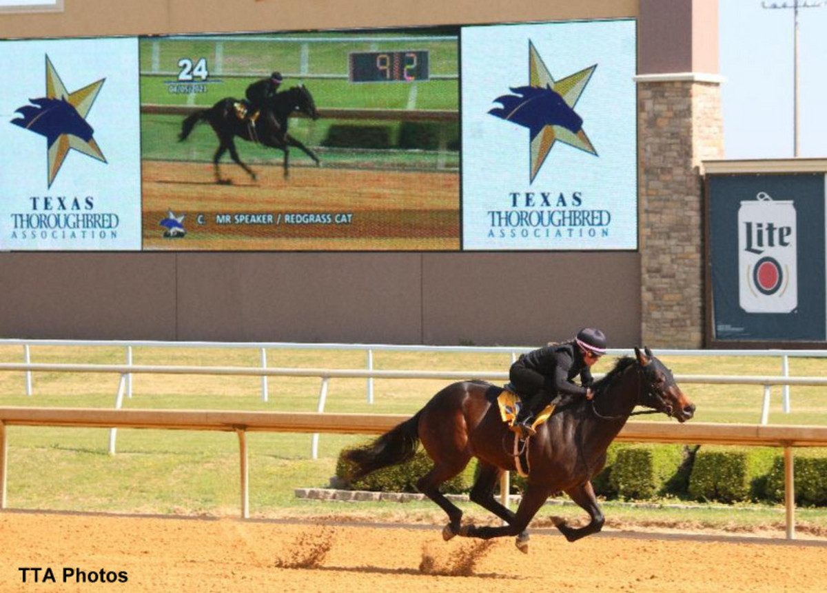 Excitement, Anticipation Set Tone For Texas Thoroughbred Association's ...