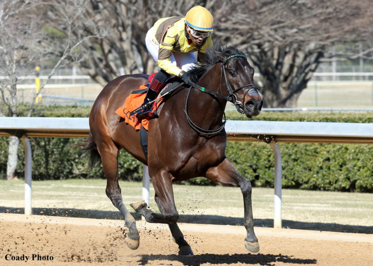 Talented Arkansas-Bred Sprinter Gar Hole Could Target Count Fleet ...