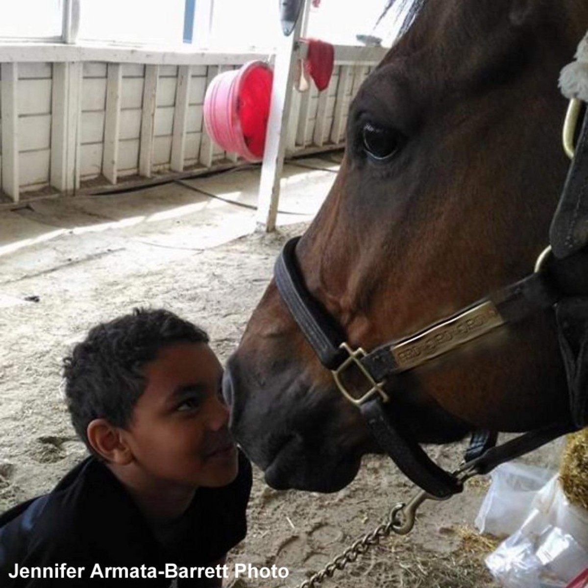 ‘Toga’ Party To The Good Life At LongRun Thoroughbred Retirement ...