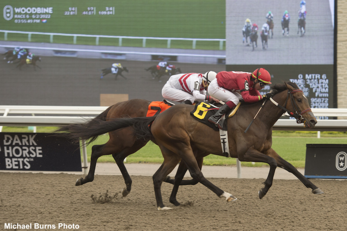 Queen's Plate Breeder Profile: Hunt Master A Return To Roots For ...