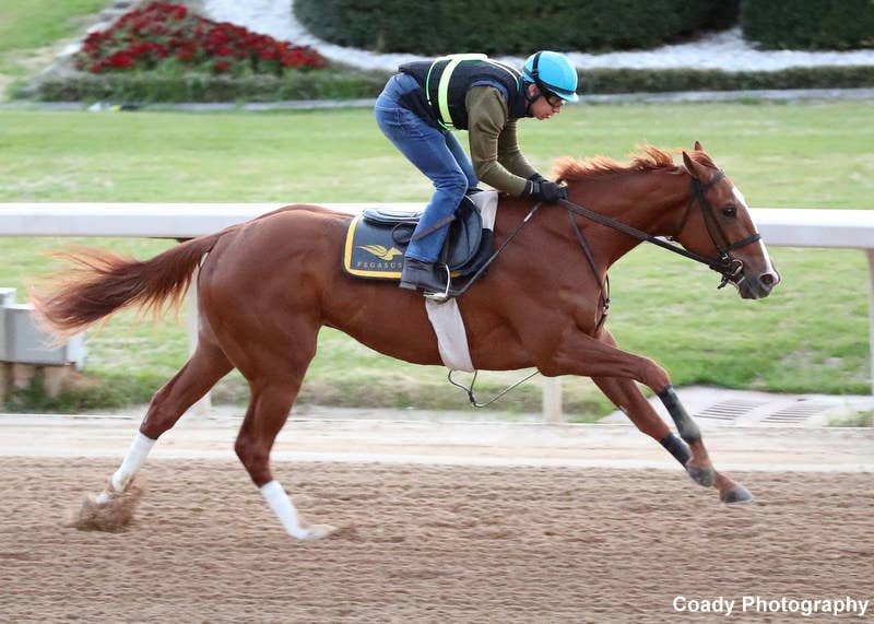 Call Me Jamal Ruled Out Of Arkansas Derby With Injury - Paulick Report ...