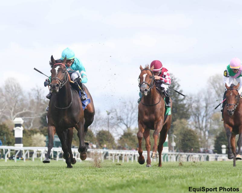 Sy Dog Keeps Perfect Record Intact With Last-To-First Transylvania Win ...