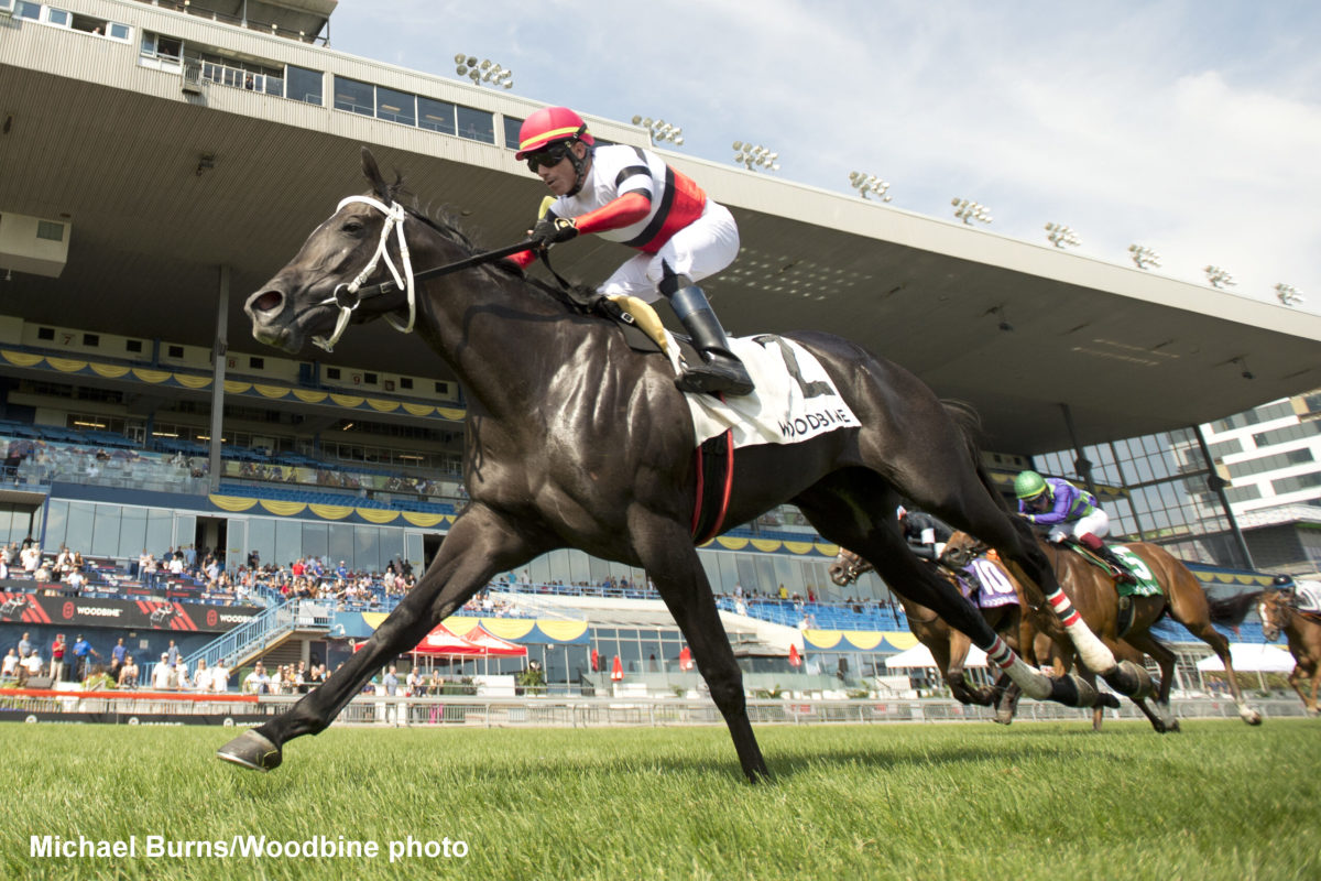 Philip My Dear, Cairo Consort Shine In Two-Year-Old Stakes At Woodbine ...