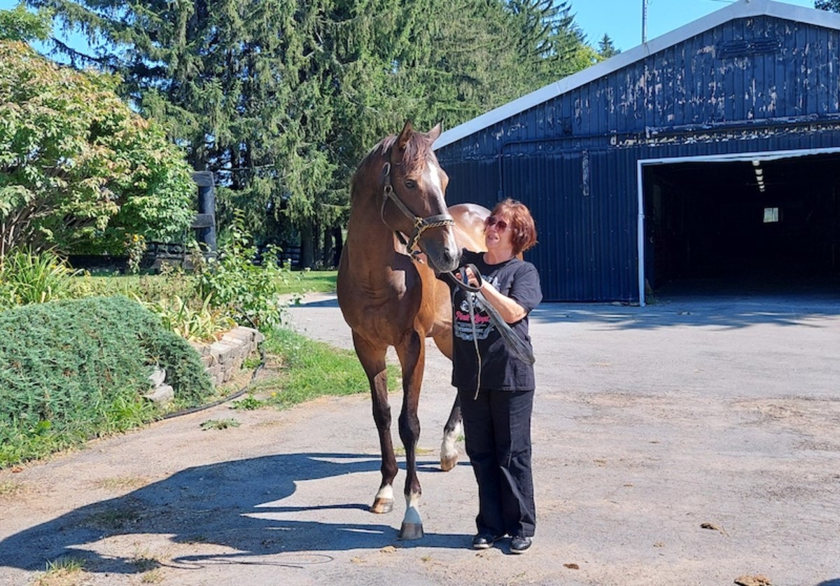 Canadian Fan Favorite Pink Lloyd Settling Into Retirement At LongRun ...