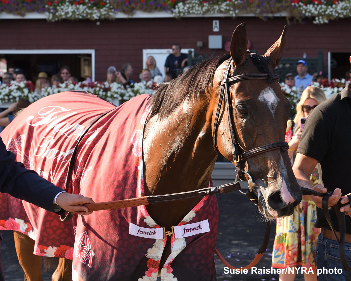 'I Haven't Put Much Thought Into That Yet': Brown Unsure Of Next Start ...