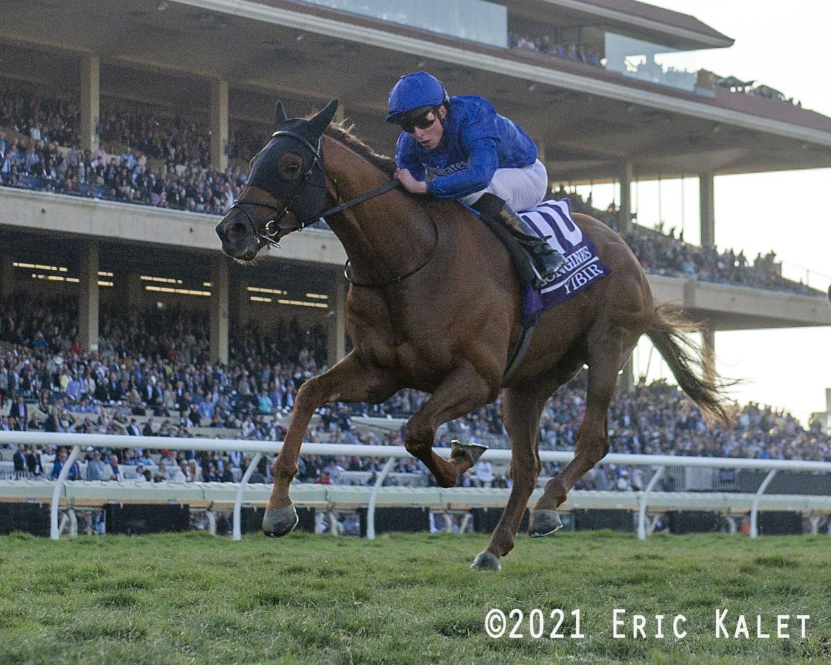 Equibase Analysis: Exciting Man O' War Matchup Looms Between Yibir ...