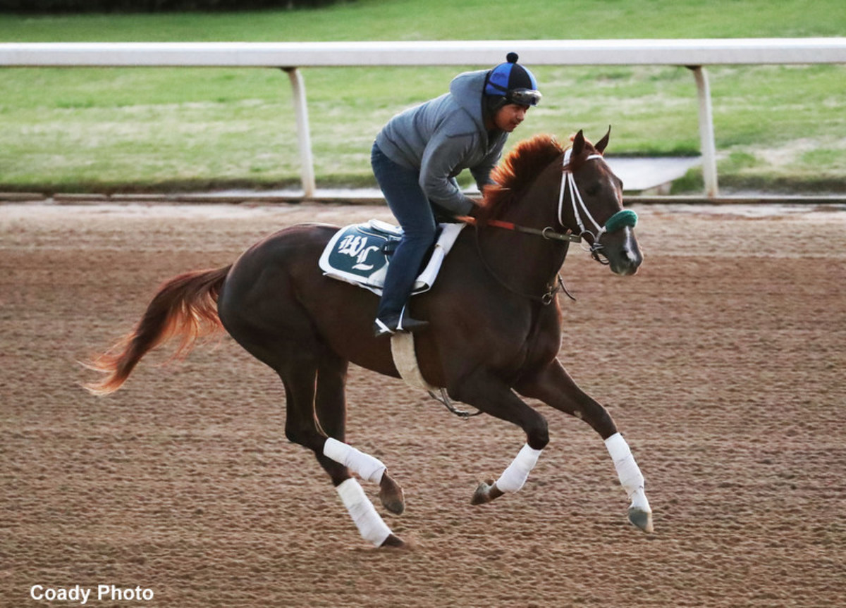 Gary Stevens: Filly Trying Arkansas Derby, Secret Oath 'May Be Better ...