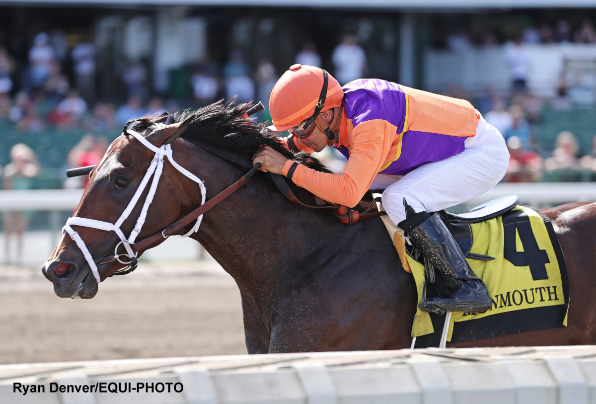 McMahon Of Saratoga Thoroughbreds Announces 2024 Fees, Open House ...