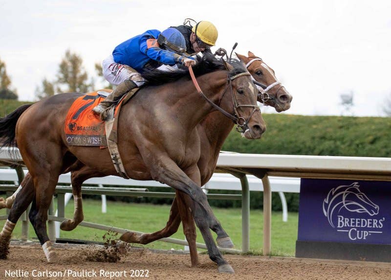 Equibase: Godolphin Repeats As Leading Owner; Single-Season Earnings ...