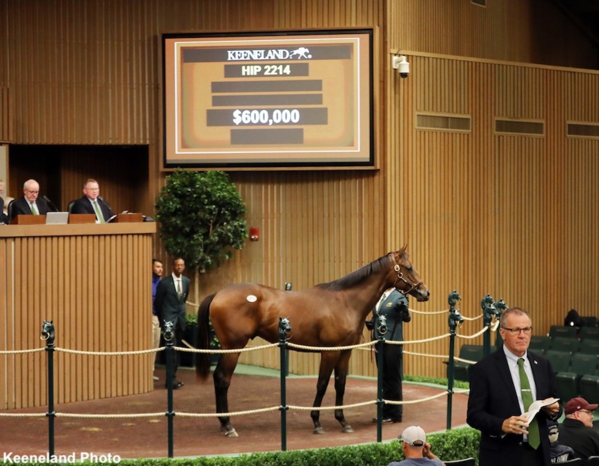 Keeneland September Sale Exceeds 2021 Gross With Five Sessions ...