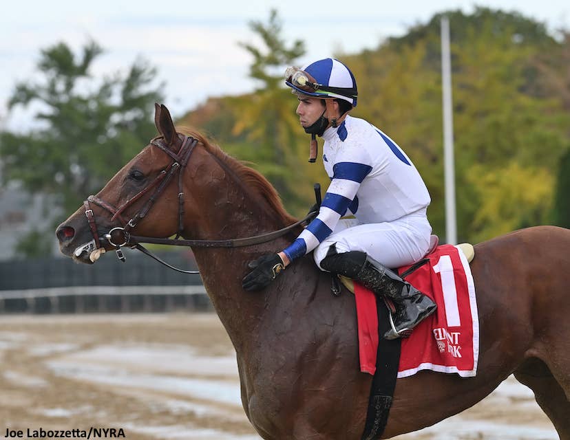 93 New York-Breds Entered For Sunday's Empire Showcase Day - Paulick ...