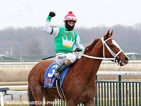 Local Jockeys Excited For 'Home Turf' Grade 1 Opportunities At Parx ...