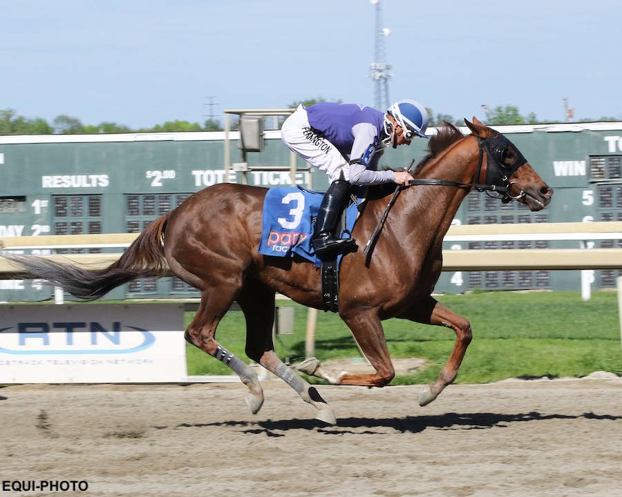 Pennsylvania Leaderboard: How Blackstone Farm Ended 2022 As Top Earner ...
