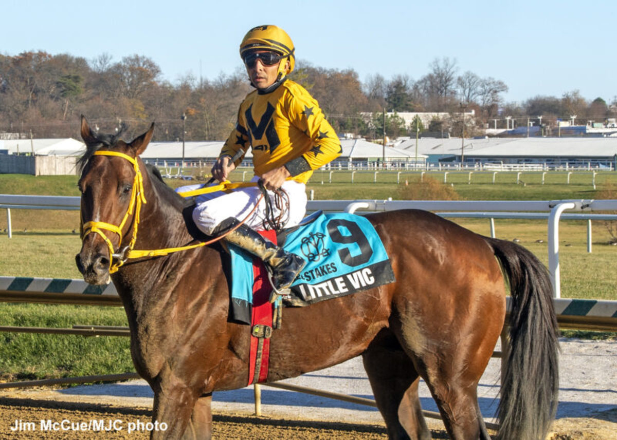 Armando R, Swayin To And Fro, Little Vic Sparkle In Stakes At Laurel ...