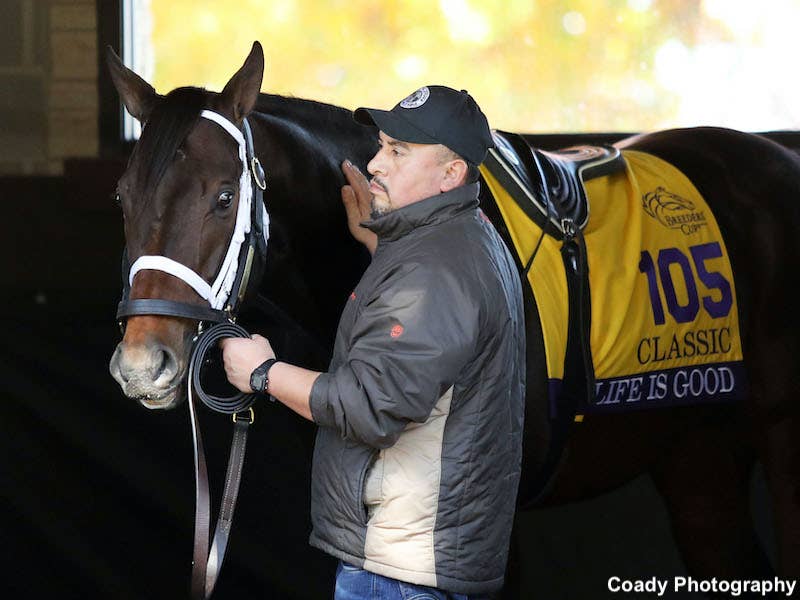 Breeders' Cup Classic Notes & Pics: Mott Warns Olympiad 'Is Very, Very ...
